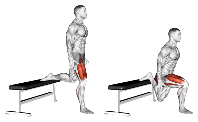 15 Best Exercises For The Perfect Leg Workout | Boss Hunting