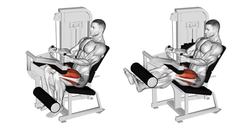 15 Best Exercises For The Perfect Leg Workout | Boss Hunting